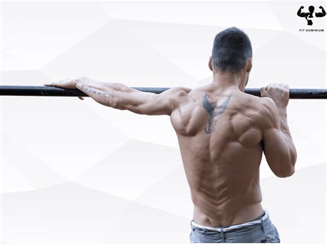 What Does A Calisthenics Physique Look Like Fitdominium