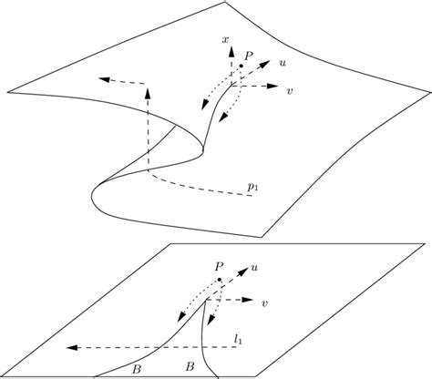 5 The Canonical Cusp Catastrophe Surface Download Scientific Diagram