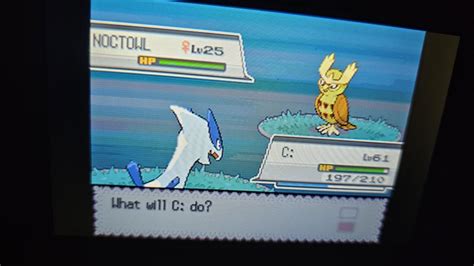 [gen 4] I Found A Shiny Noctowl While Looking For A Lucky Egg R Shinypokemon