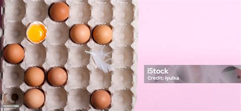 신선한 천연 닭고기 달걀과 밝은 분홍색 배경에 껍질에 노른자 1 개가있는 종이 공예 에코 박스 0명에 대한 스톡 사진 및 기타 이미지 Istock