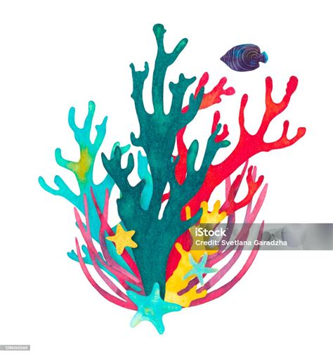 산호초 수채화 일러스트 구성 손으로 그린 수중 바다 생활 장식 디자인 흰색 배경에 아름다운 밝은 산호 물고기 불가사리 해초 해양 생물 0명에 대한 스톡 벡터 아트 및 기타