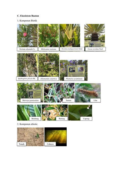 Laporan Ekosistem Darat Buatan Perairan Pdf
