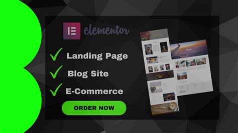 Be Your Elementor Expert And Clone Wordpress Websites By Noorsamia2711a