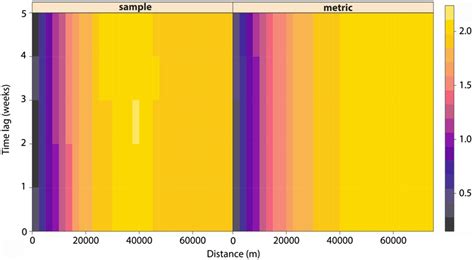 empirical spatio temporal variogram and fitted theoretical
