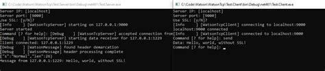 ssl test client throwing an exception · issue 165 · dotnet watsontcp