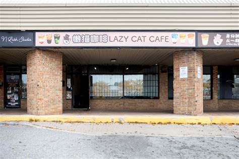 Lazy Cat Cafe Blogto Toronto