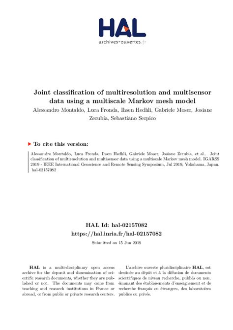 Pdf Joint Classification Of Multiresolution And Multisensor Data