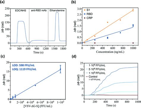Rapid And Direct Quantification Of The Sars Cov 2 Virus With An Ultrasensitive Nanobody Based