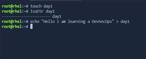 Devsecops Devops Security Linux Permissions Bhuvanesh Manwatkar