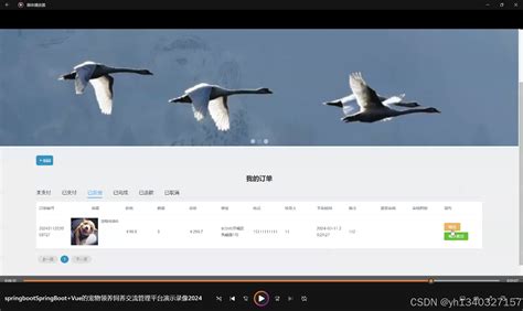 宠物领养饲养交流管理平台母狗园 Csdn博客