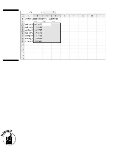 Microsoft Office Excel 2010 For Dummies