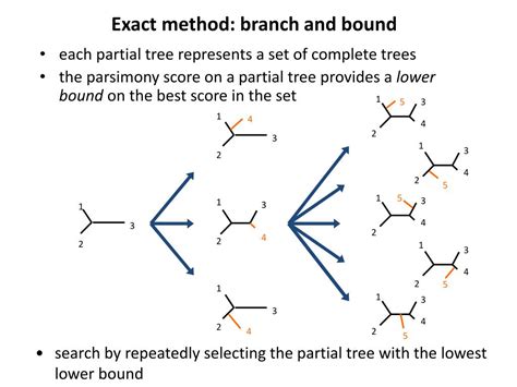 Ppt Parsimony Based Algorithms For Phylogenetic Tree Construction