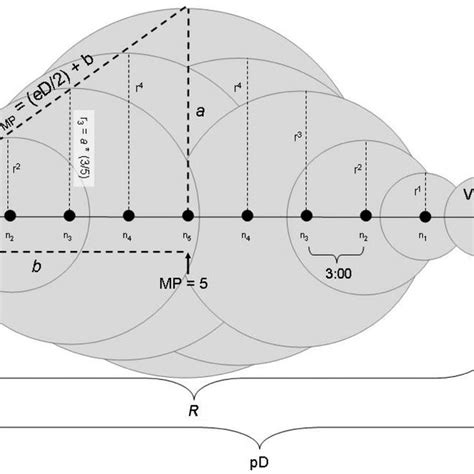 Schematic Illustration Of How Radii R I For Spatial Buffers Were Download Scientific Diagram