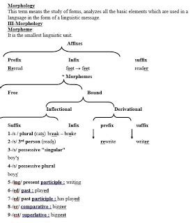 Phonetics Lecture Morphology