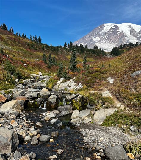 Skyline Trail Loop — Washington Trails Association