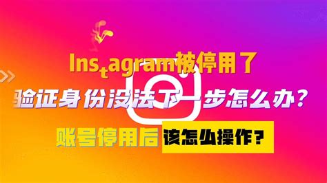 instagram被停用了 验证身份没法下一步怎么办？instagram账号停用后该怎么操作？ instagram instagram账号