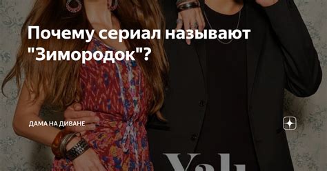 Почему сериал называют Зимородок Дама на диване Дзен