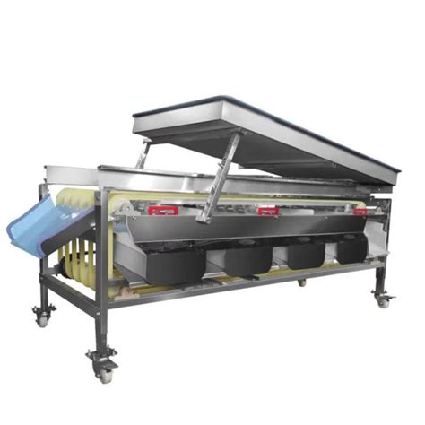 Factory Price Fruit And Vegetable Sorting Grading Machine Sorting Machine And Food Machine