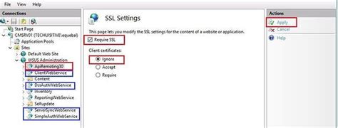 Configure Sccm Software Update Point For Ssl Techuisitive