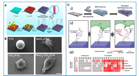 Figure 6 From Nanomaterial Based Immunocapture Platforms For The