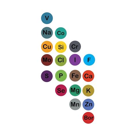 Minerały Mikroelementy I Makroelementy Przydatne Dla Zdrowia Człowieka Podstawy Zdrowego