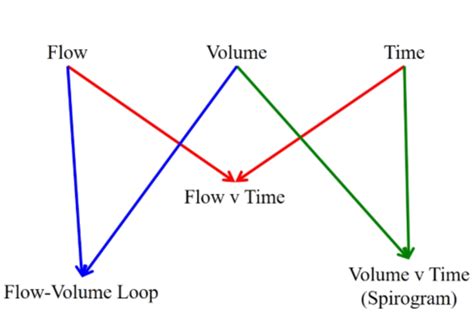Flow Volume Loops Flashcards Quizlet
