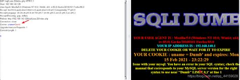Sql注入详解 Csdn博客