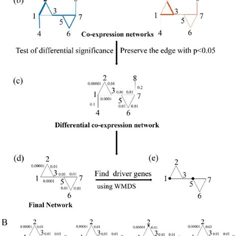 Differential Gene Co Expression Networks A Final Transcriptome
