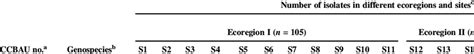 representative genospecies identified based on multilocus sequence