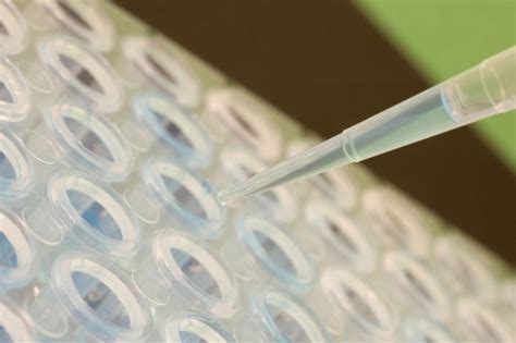 10x Genomics And Beckman Coulter Life Sciences Launch New Solution To Automate Single Cell Assay