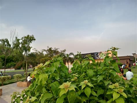 Asus Zenfone Z Camera Review Flagship Grade Or Ordinary Beebom