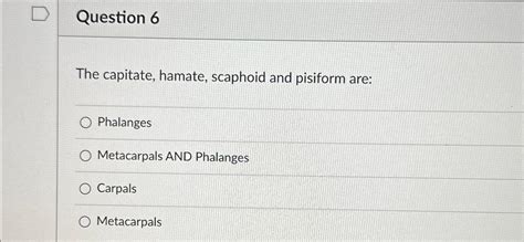 Question 6the Capitate Hamate Scaphoid And Pisiform