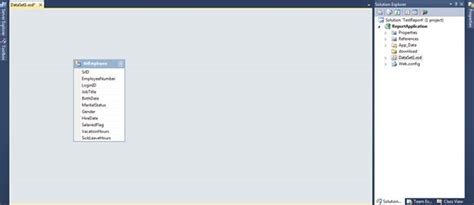 How To Use Rdlc Local Report In Aspnet To Download In Doc Pdf And Excel Format