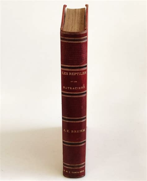 A E Brehm Les Reptiles Et Les Batraciens Les Merveilles De La Nature 1885 Catawiki