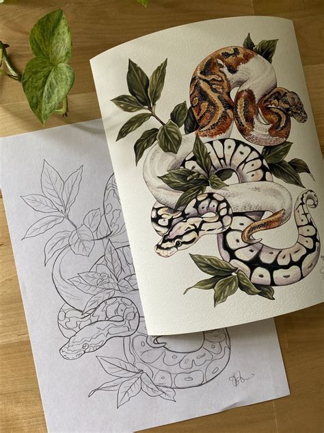 Pythons Original Sketch And Print Print 8x10 Print The Originals