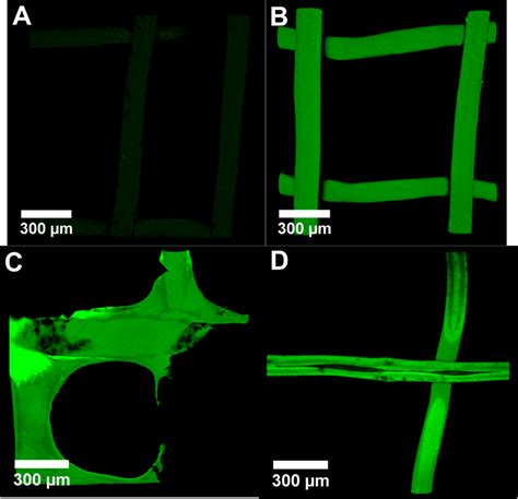 Fluorescence Images Using The Fluorescence Dye Fluorescein Sodium
