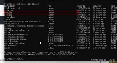 windows 搭建docker 以及部署前后端项目及程序，对所需目录挂载nginx进行配置显示 windows使用docker部署项目 csdn博客