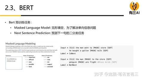 项目实战课基于HuggingFace的Bert情感分析实战 知乎