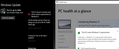 Windows 11 Bugs That Users Are Complaining About Technipages