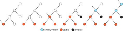 Visibility Test On Rhoctree At Each Step The Node Visibility Is Download Scientific Diagram