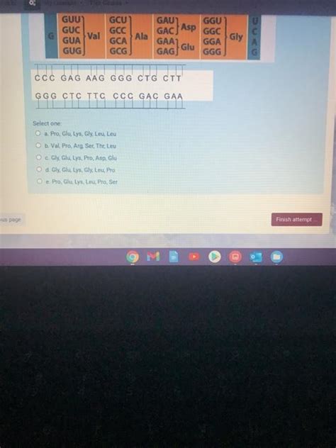 Solved Coding Of Your Question 14 For The Following Dna