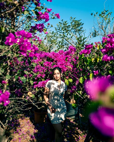 shriya kontham shriya kontham instagram photos and videos