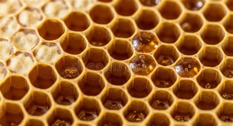 Close Up Of A Honeycomb Structure With Hexagonal Wax Cells These Cells