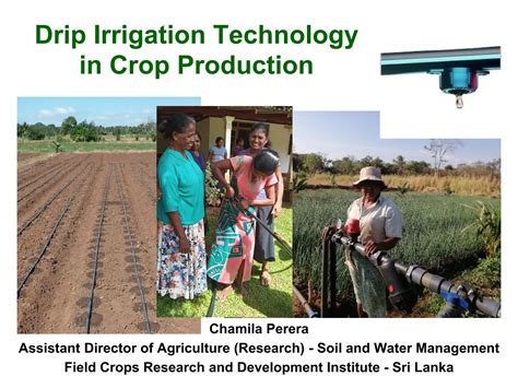Drip Irrigation Climate Smart Agriculture Ppt