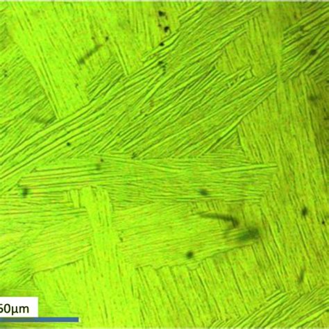 Lamellar Microstructure Of As Received Workpiece Download Scientific
