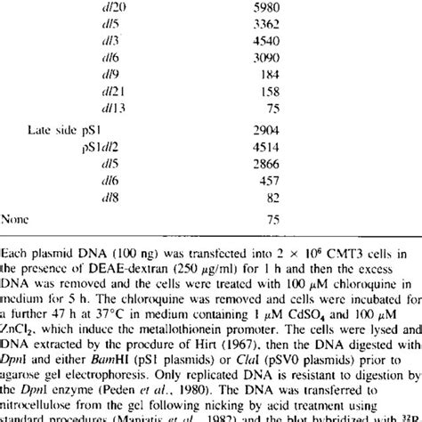 Replication Of Plasmid Dna Sequences In Vivo Download Table