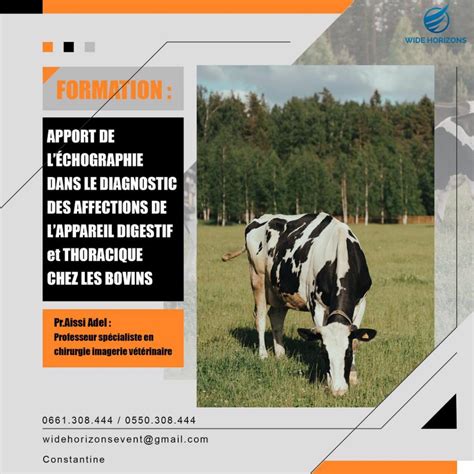 Formation Lechographie Chez Les Bovins