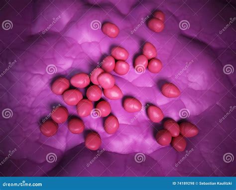 Enterococcus Cartoons Illustrations And Vector Stock Images 639