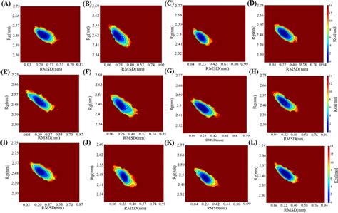 Free Energy Landscape Of All Model Collagens With Rmad And Rg As