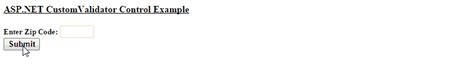 Asp Net Client And Server Side Customvalidator Techstrikers